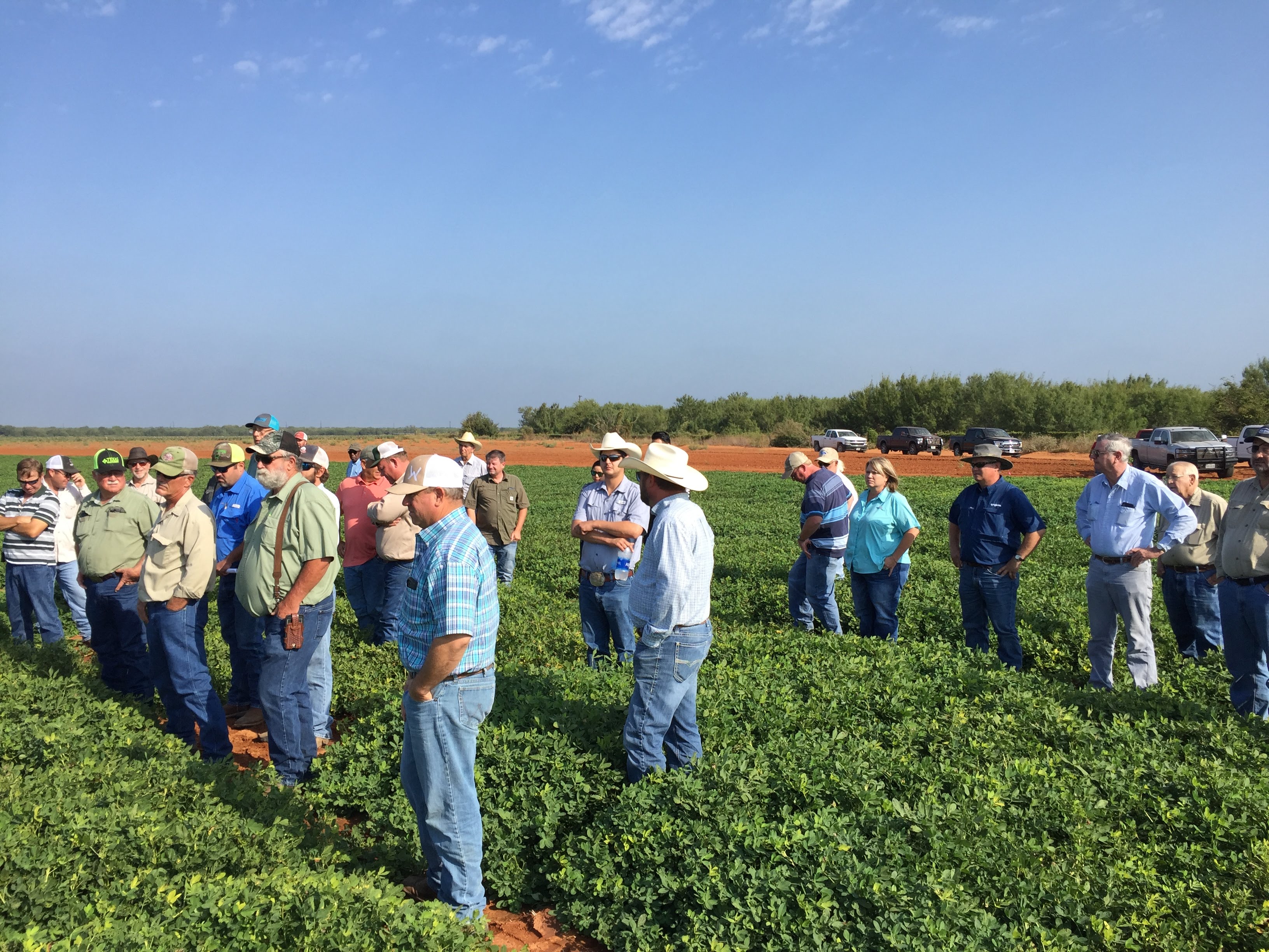 Organic in Texas – Texas A&M AgriLife Organic