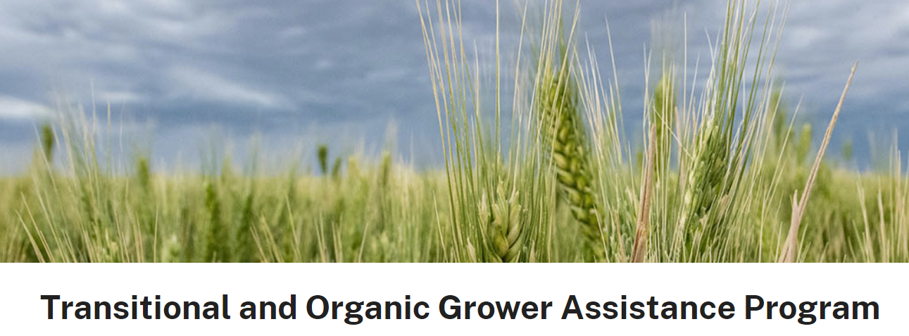 Two More USDA Programs – Texas A&M AgriLife Organic