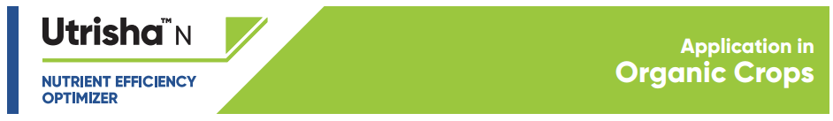 Utrisha N Use on Small Grain Silage – Texas A&M AgriLife Organic