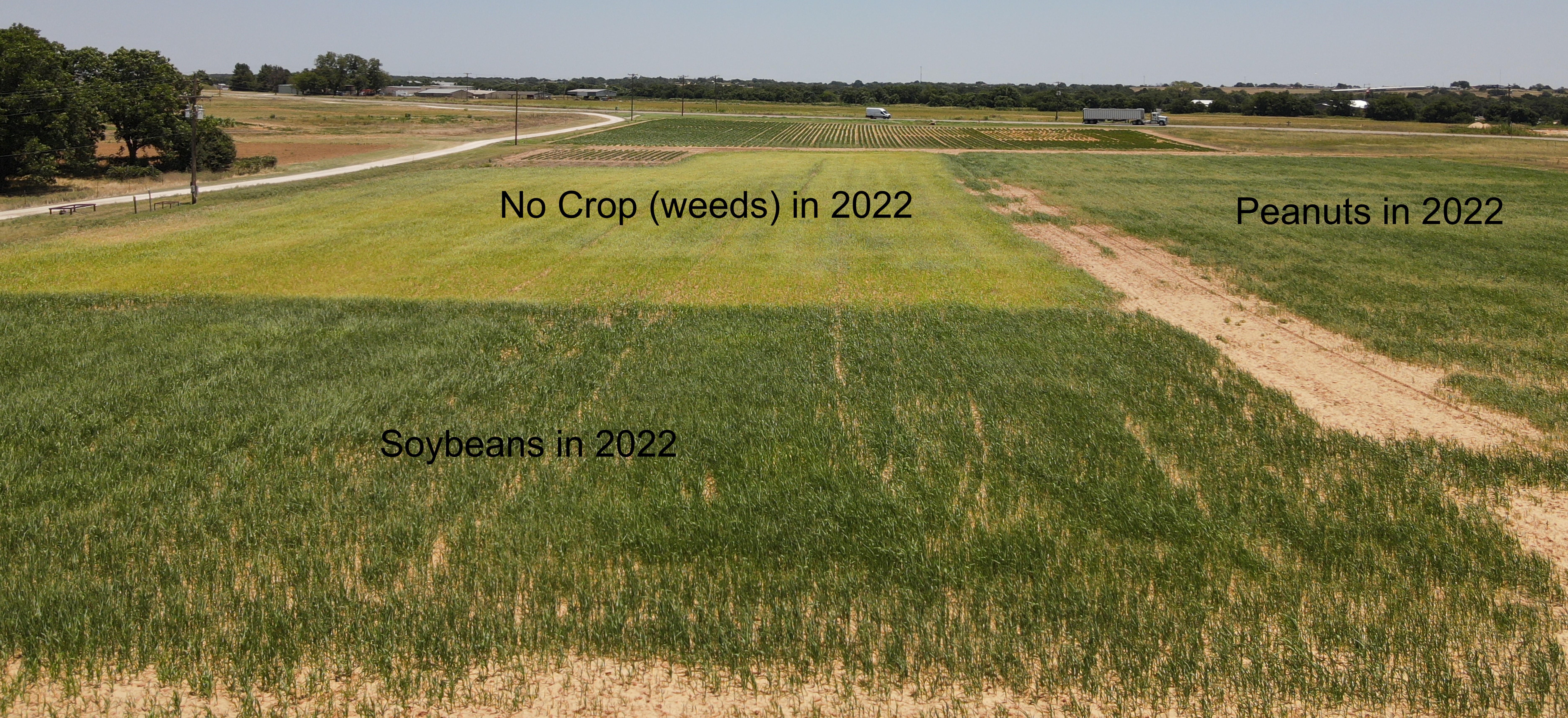 Legumes make a difference! – Texas A&M AgriLife Organic
