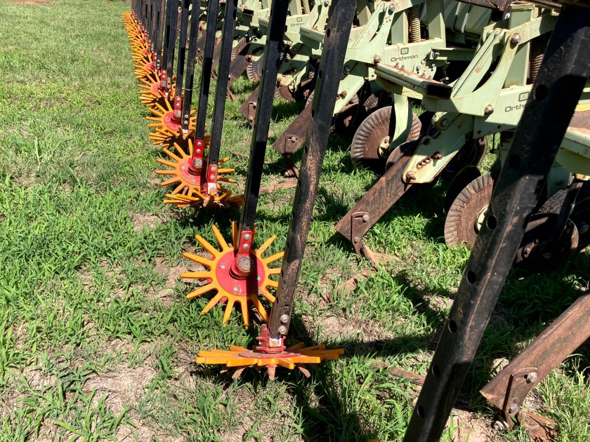 Organic Weed Control – Texas A&M AgriLife Organic