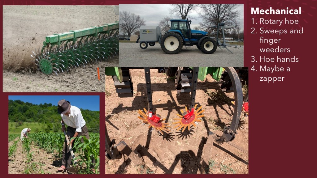 Organic Weed Control – Texas A&M AgriLife Organic