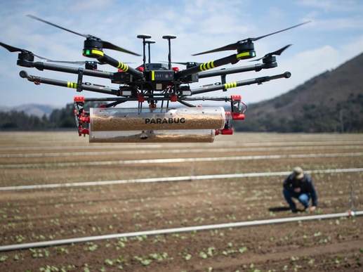 Using Beneficial Insects in Organic Crop Environments – Texas A&M ...
