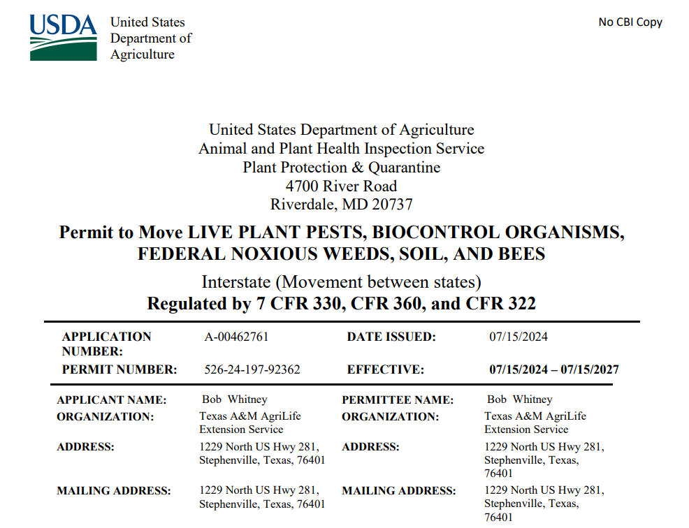 Applying Field Bindweed Gall Mites – Texas A&M AgriLife Organic