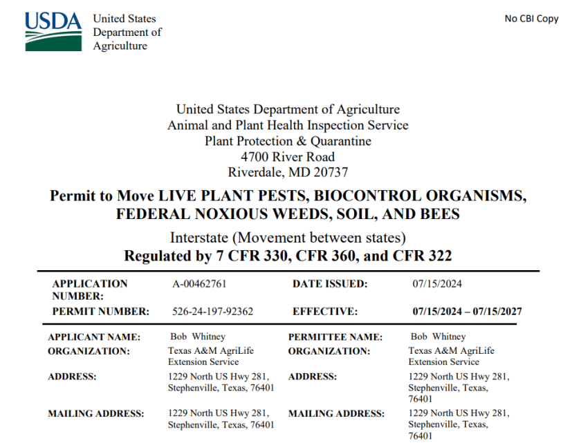 Applying Field Bindweed Gall Mites – Texas A&M AgriLife Organic