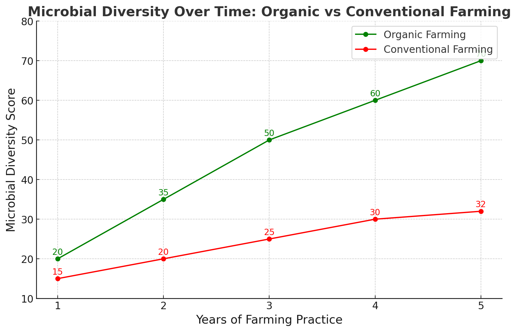 How Organic Farming Practices Revive Soil Health and Microbial ...