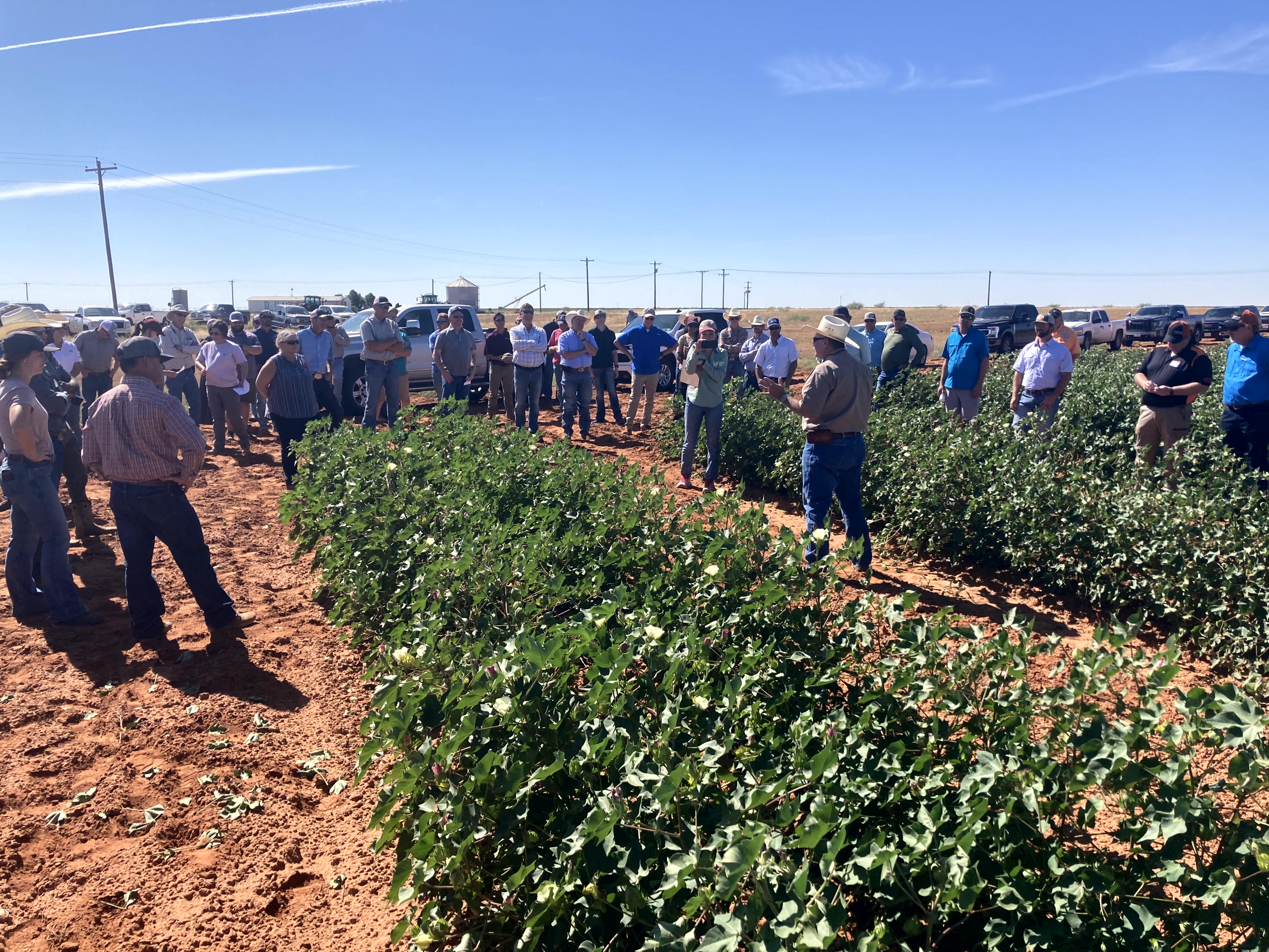 2026 Organic Cotton and Peanut Tour Set – Texas A&M AgriLife Organic